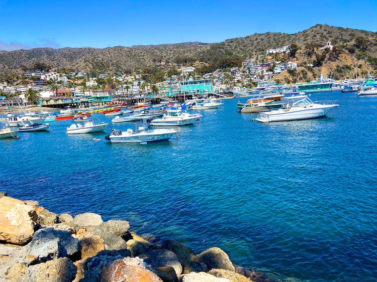 What to Do on Catalina Island For a Day - The Minivan Bucket List