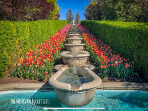 7 Best Places to See Spring Flowers in Utah - The Minivan Bucket List