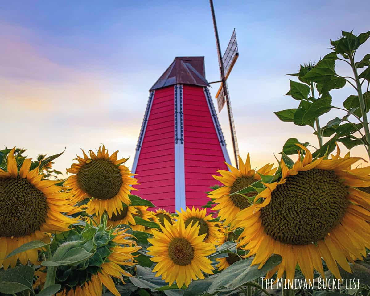 17 Festive Fall Activities in Utah for Your Fall Bucket List - The ...