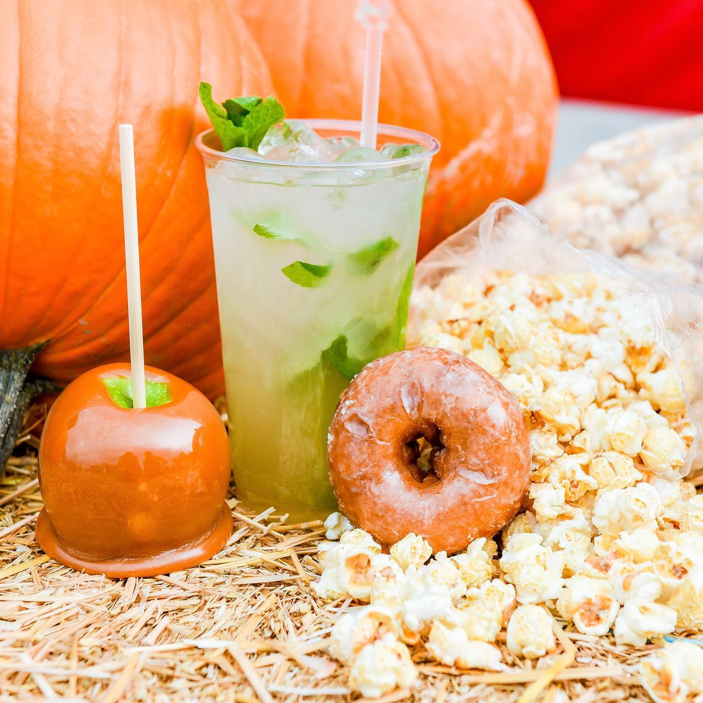 Squash Goals: 13 Pumpkin Patches in Utah You Can't Miss - The Minivan ...