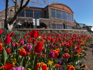 A Local's Guide to 19 Fun-Filled Things to Do in Lehi - The Minivan ...